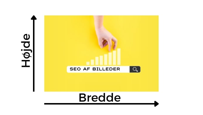 SEO af billeder - Optimér dine billeder | 2025